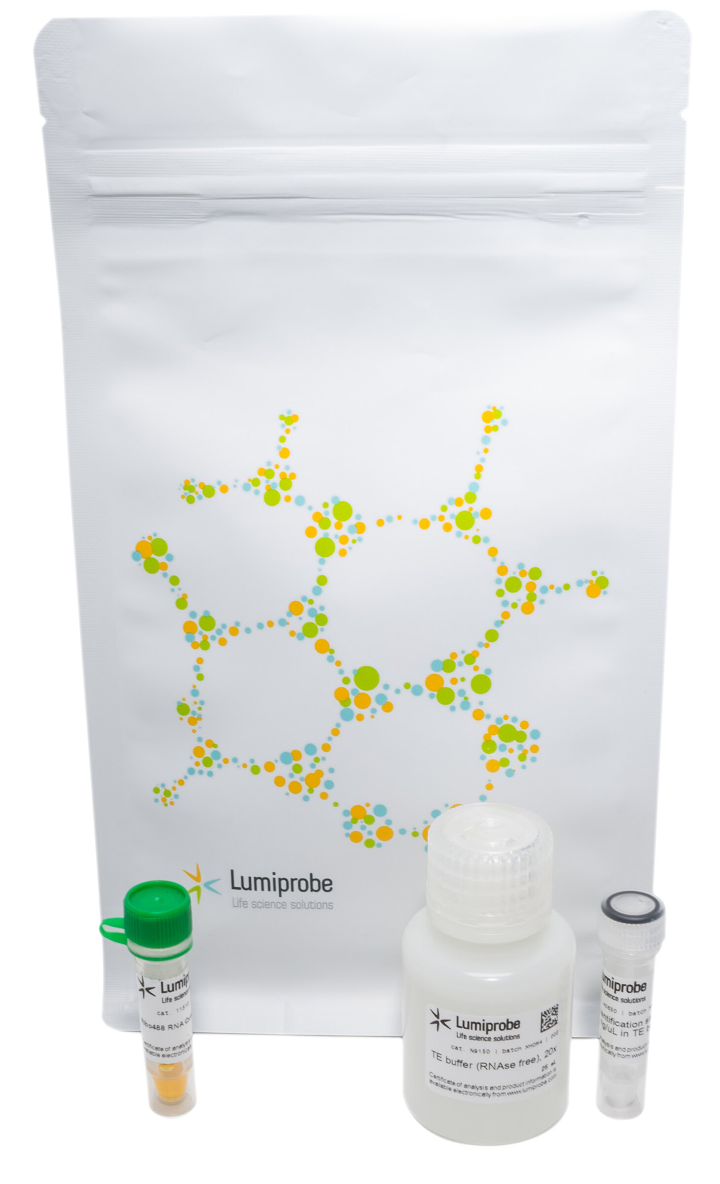 Ribo488 RNA Plate Reader Assay Kit
