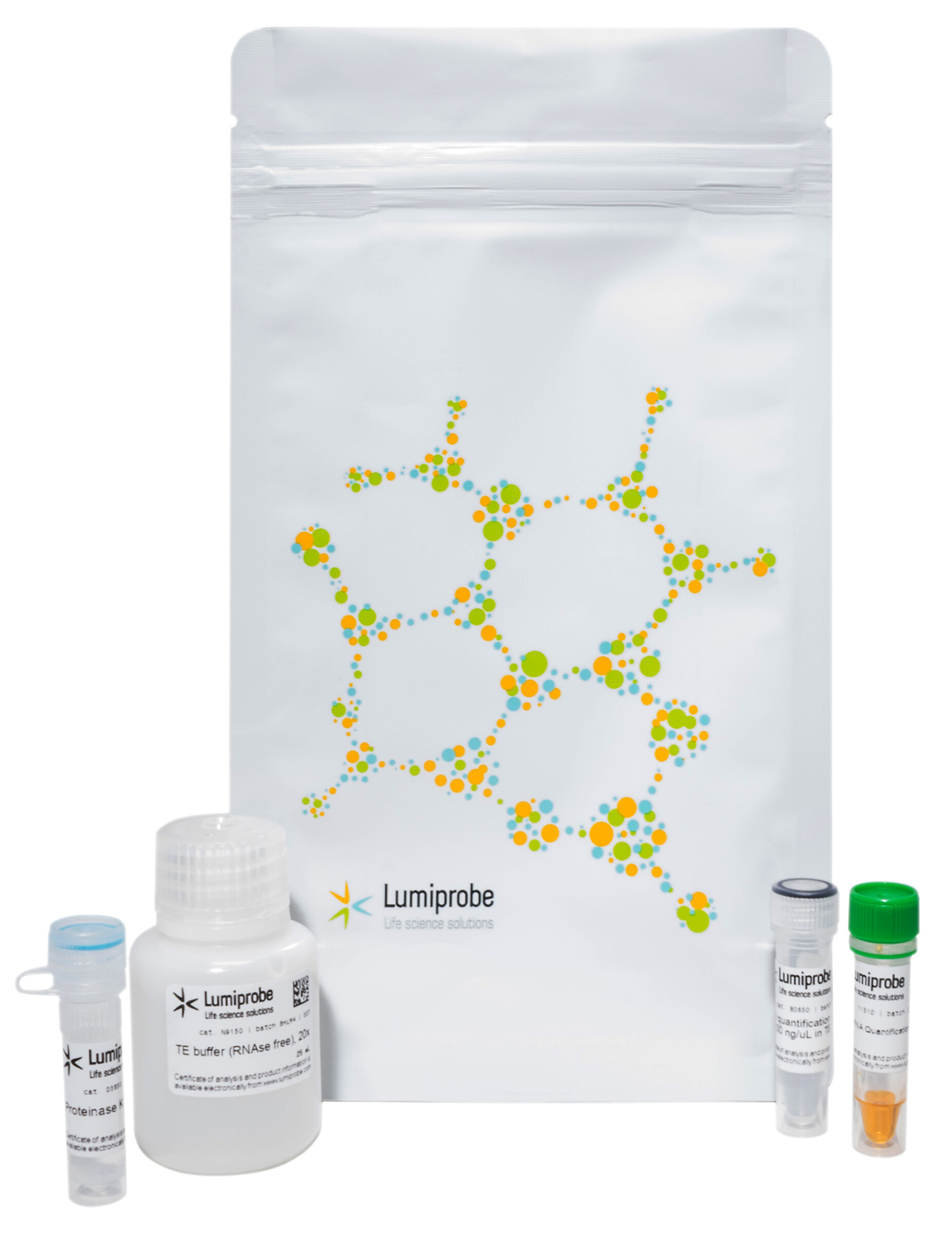 Ribo488 RNA Plate Reader Assay Kit