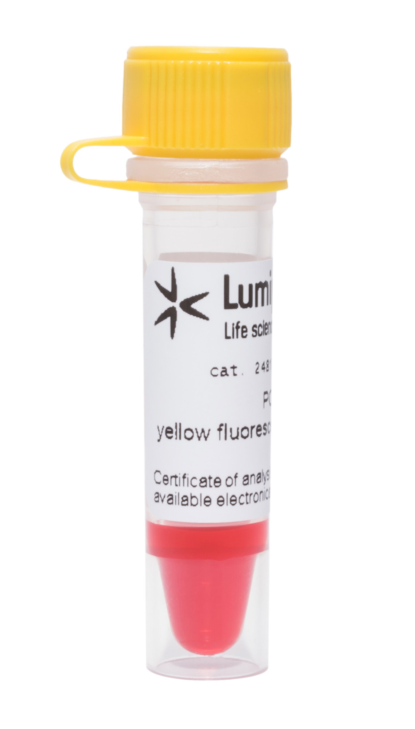 PO-TAP-1, blue fluorescent nucleic acid stain | CAS#:157199-56-9