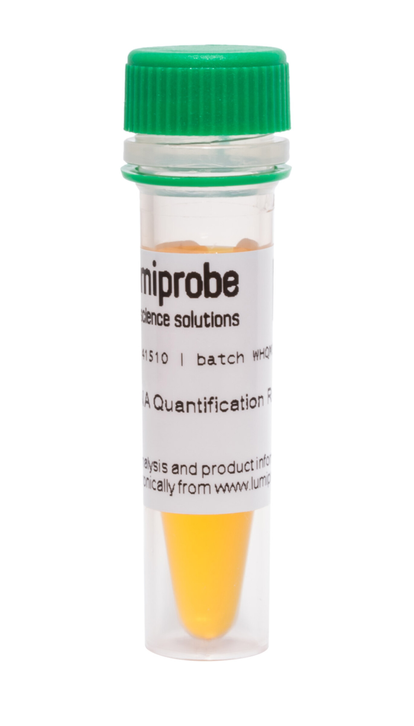 Ribo488 RNA Quantification Reagent