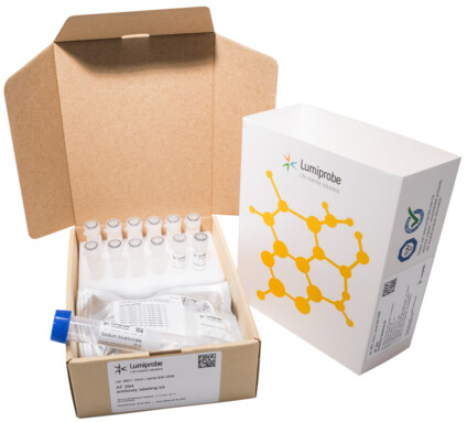 AF 594 Antibody Labeling Kit