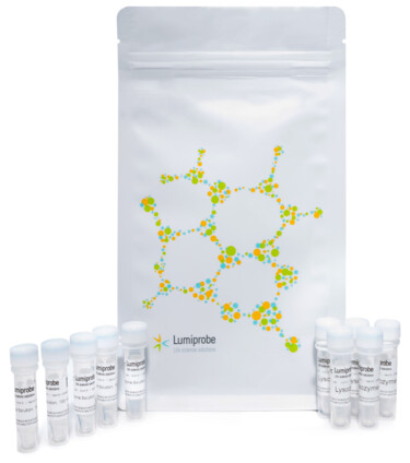 LysoPrep Lyo, Lysozyme Pretreatment Kit for DNA Extraction (lyophilized)