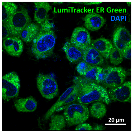 LumiTracker® ER Green