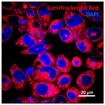 LumiTracker® ER Red